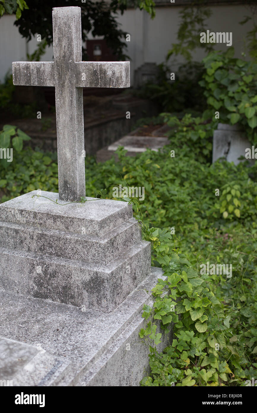 Old gravestones covered with overgrowth, Chinese Christian Cemetery ...