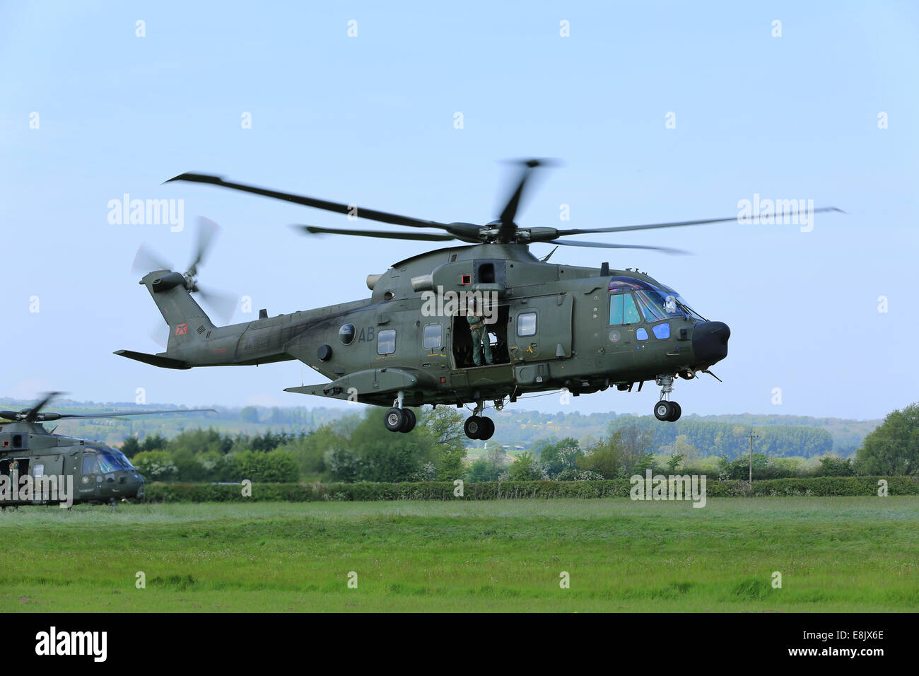 RAF Merlin helicopter lifting off from a farm field about to be ...