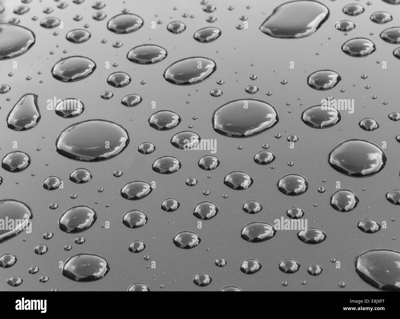 Water droplet surface tension Black and White Stock Photos & Images - Alamy