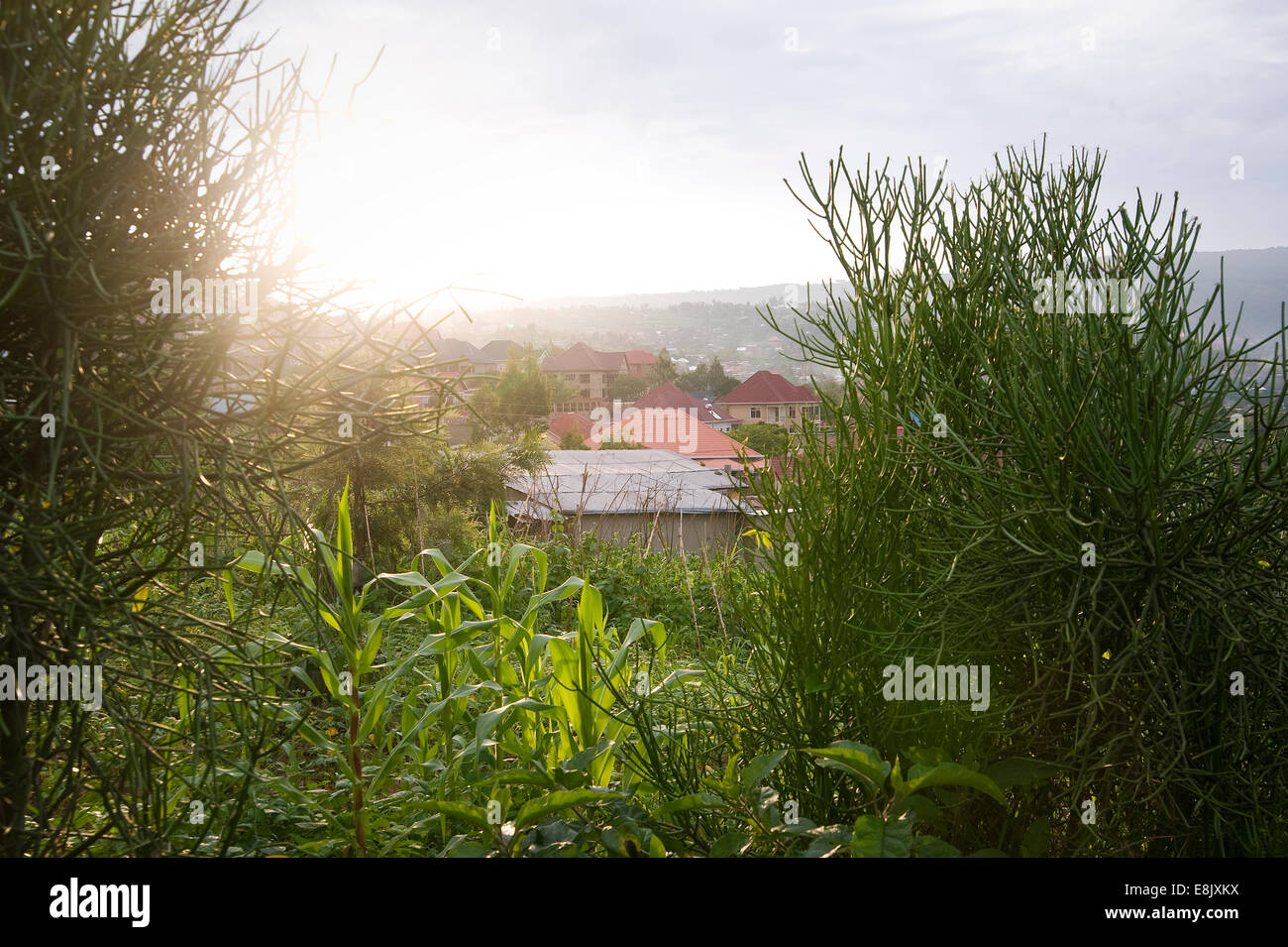 RWANDA, KIGALI: There is lots of nature in the capital, green rolling ...