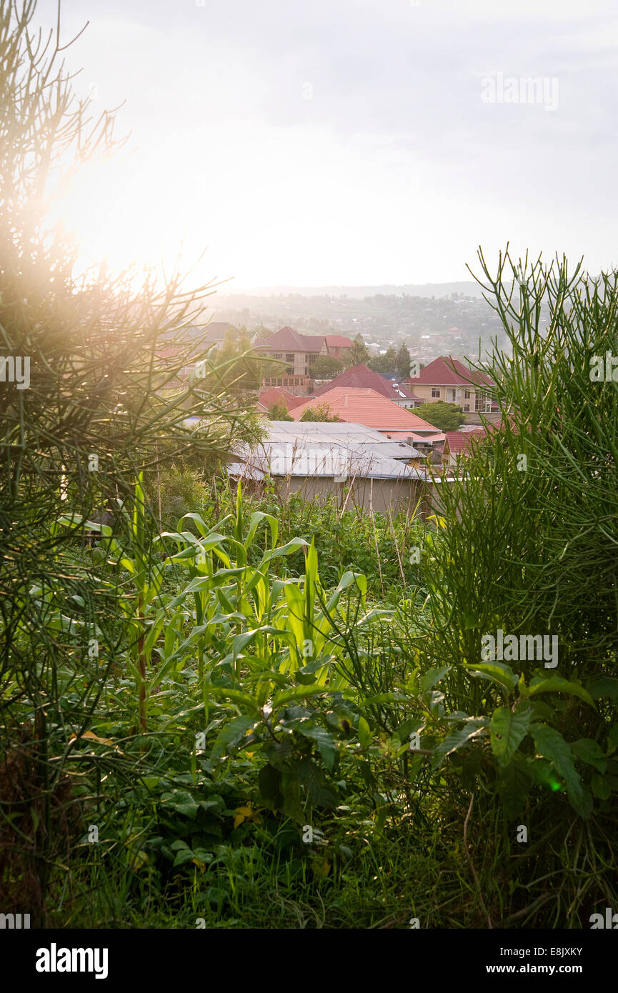 RWANDA, KIGALI: There is lots of nature in the capital, green rolling ...