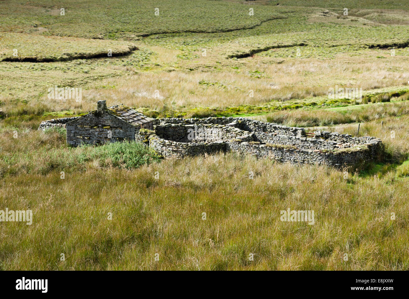 Stone sheep fold in the Yorkshire Dales Stock Photo - Alamy