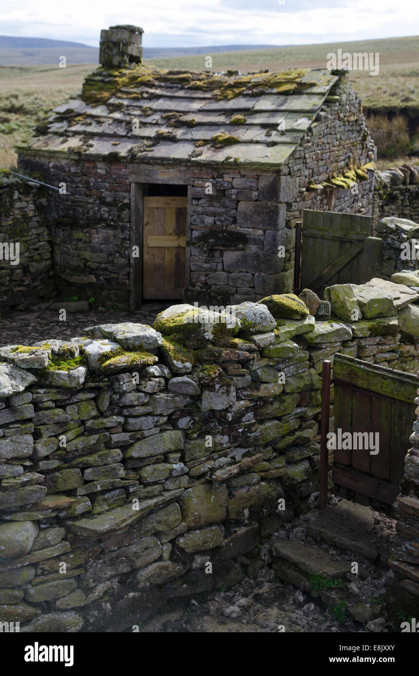 Stone sheep fold in the Yorkshire Dales Stock Photo - Alamy