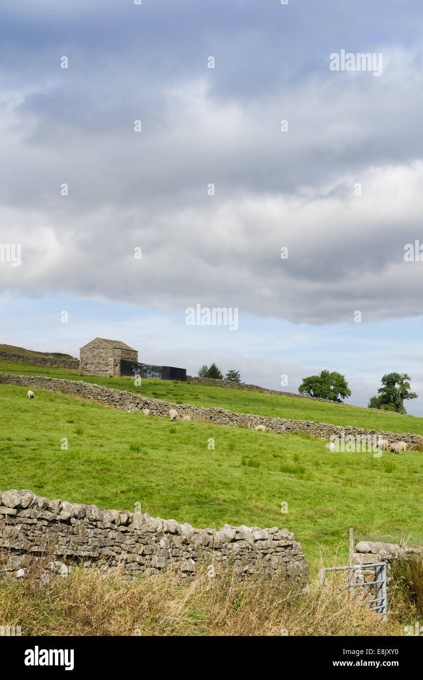 Stone walls in Swaledale Stock Photo - Alamy