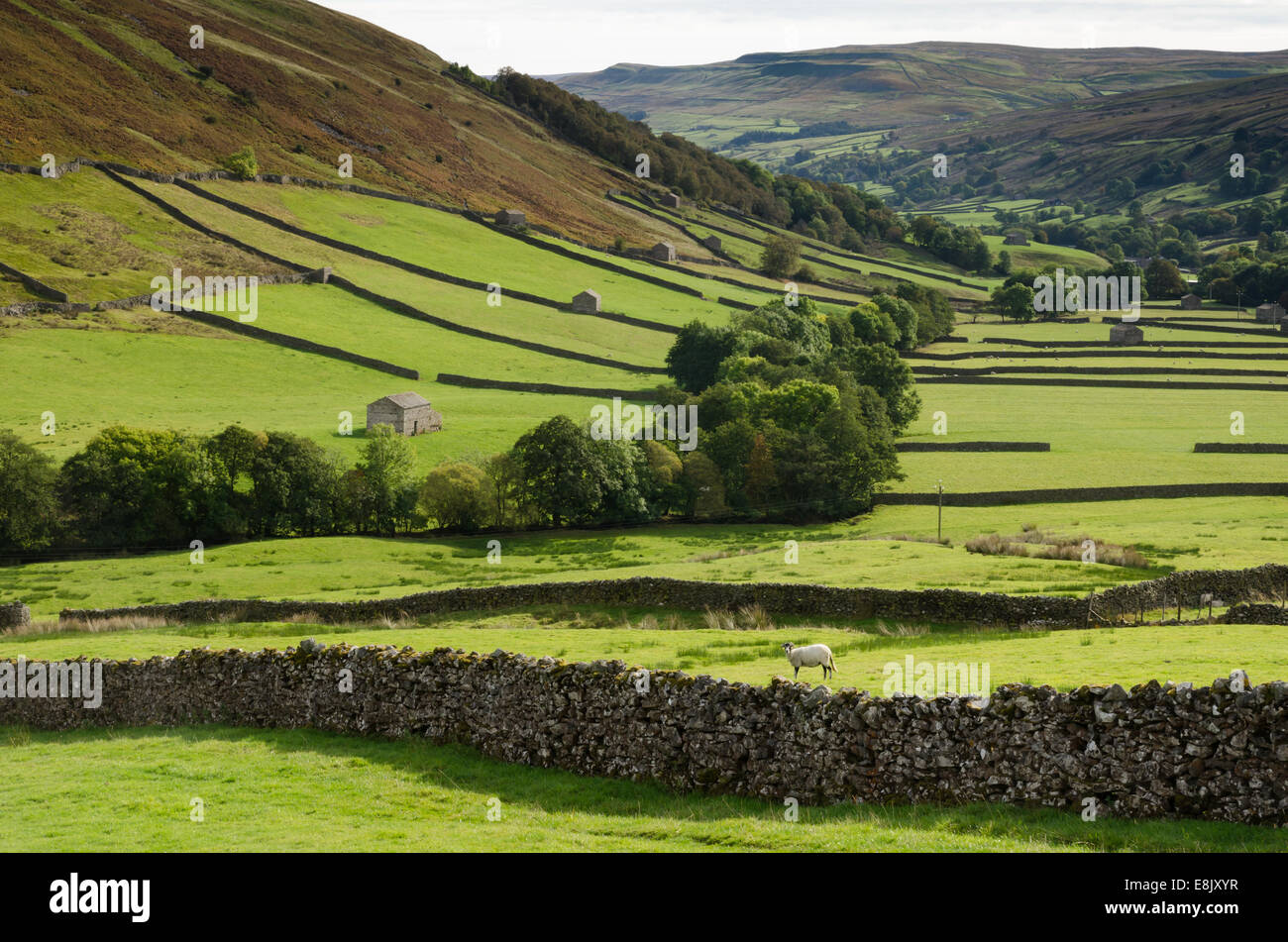 Views of upper Swaledale Stock Photo - Alamy