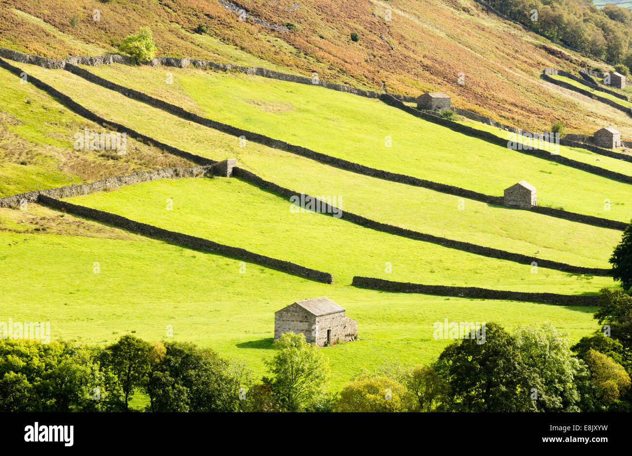 Views of upper Swaledale Stock Photo - Alamy