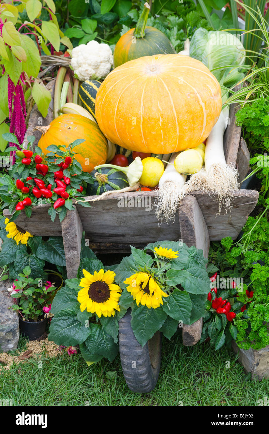 Wooden wheelbarrow of vegetables Stock Photo - Alamy