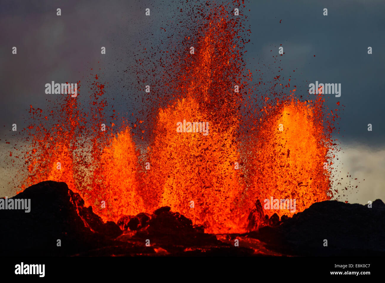 Lava fountains at the Holuhraun Fissure eruption near the Bardarbunga ...