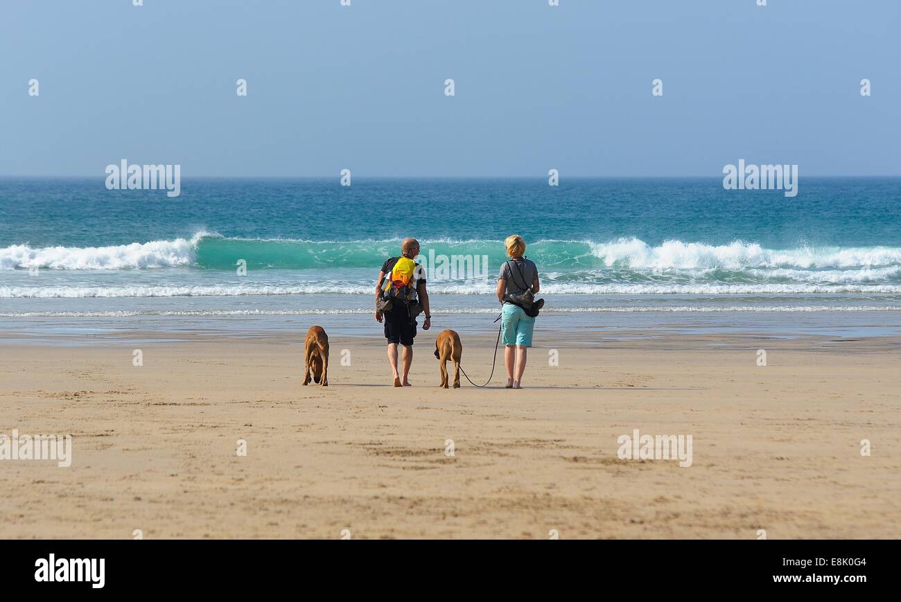 A couple walking 2 dogs on Penhale beach Perranporth Cornwall England ...