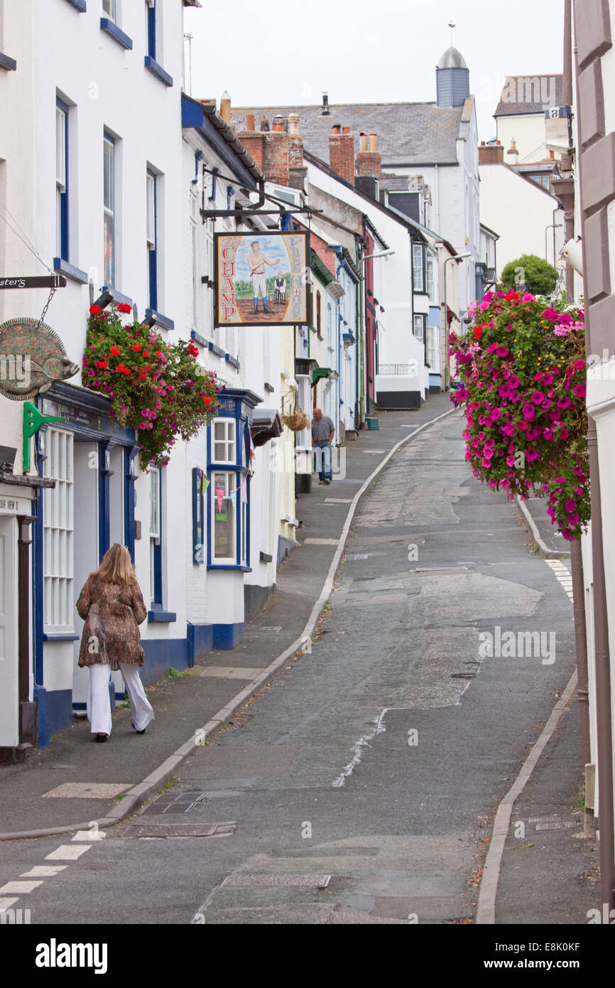 Street in the old fishing village of Appledore in North Devon which has ...