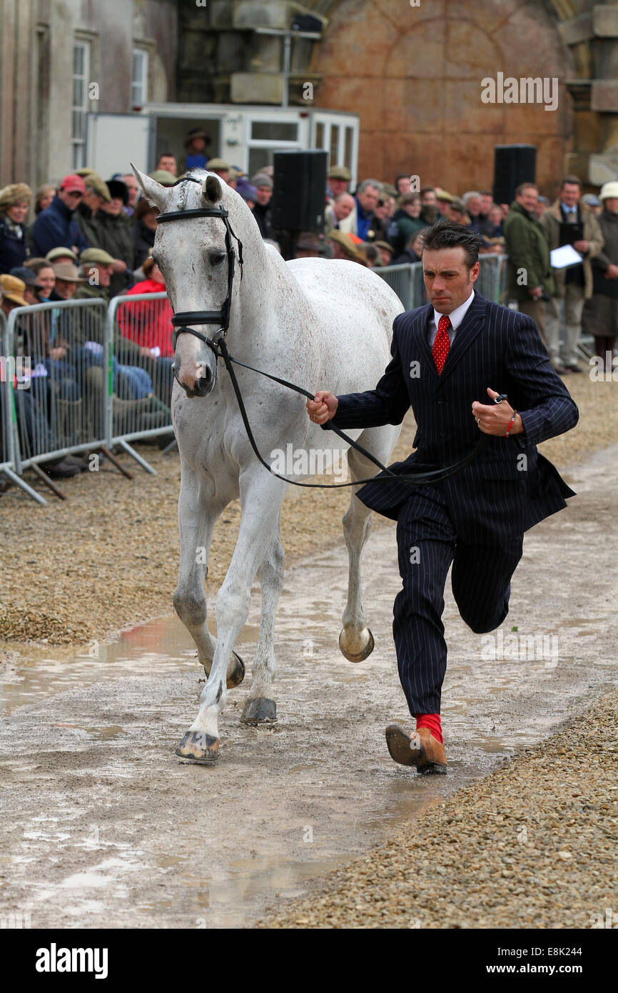 Paul Tapner with Kilronan trot up at Badminton 2014 Stock Photo - Alamy