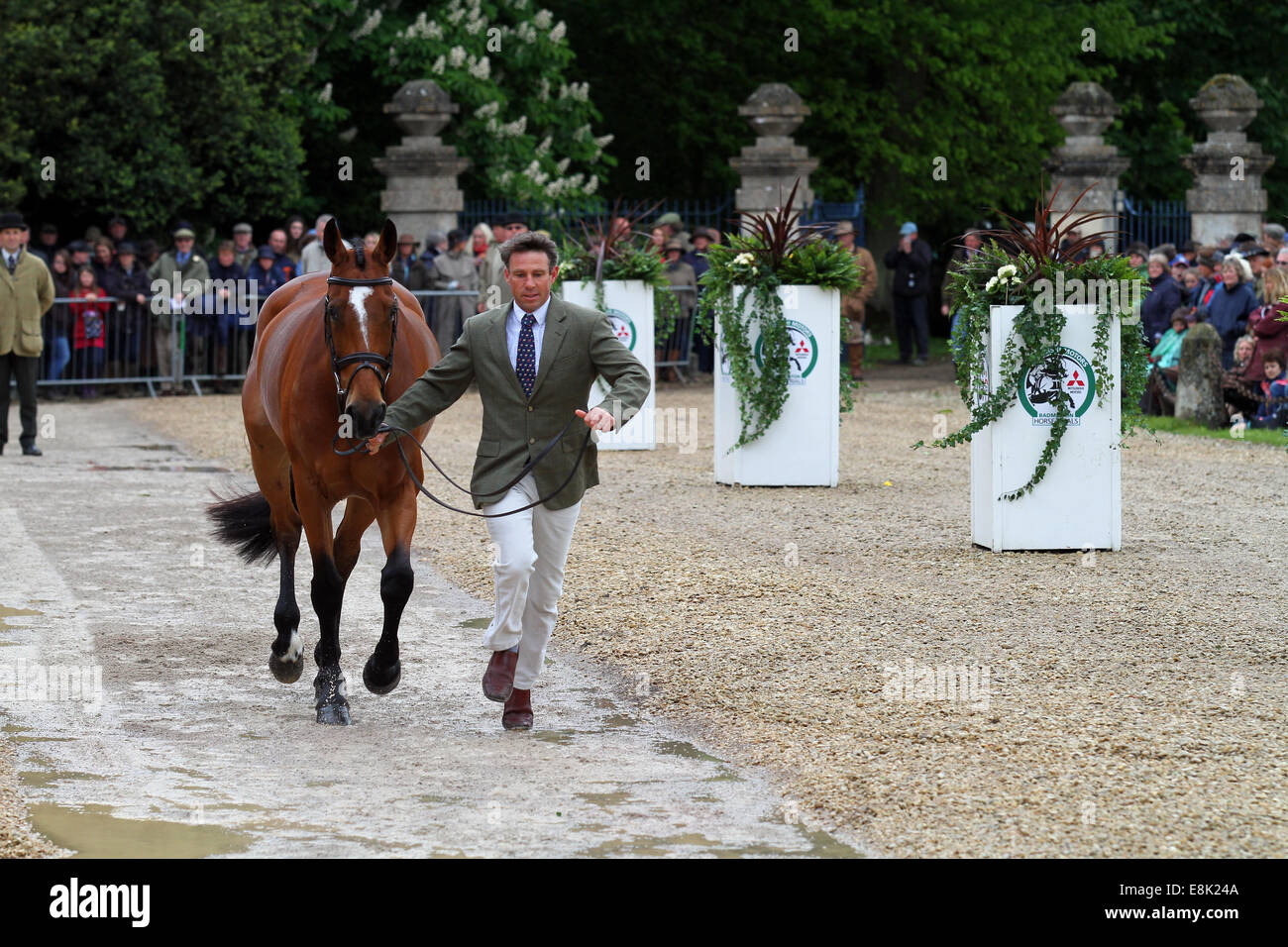 Sam Griffiths with Paulank BrocKagh trot up at Badminton 2014 Stock ...