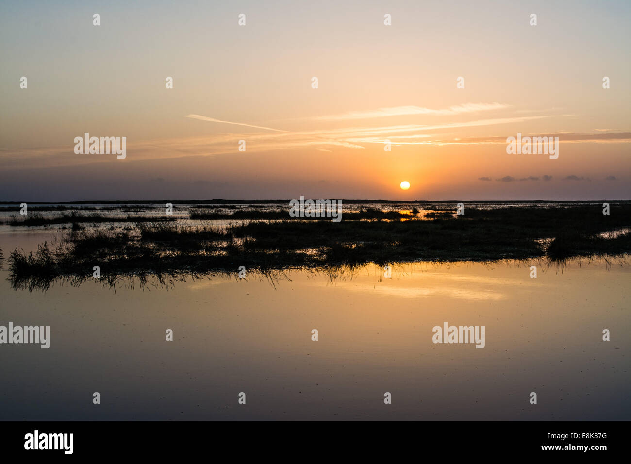 Flooded marsh at sunrise Stock Photo - Alamy