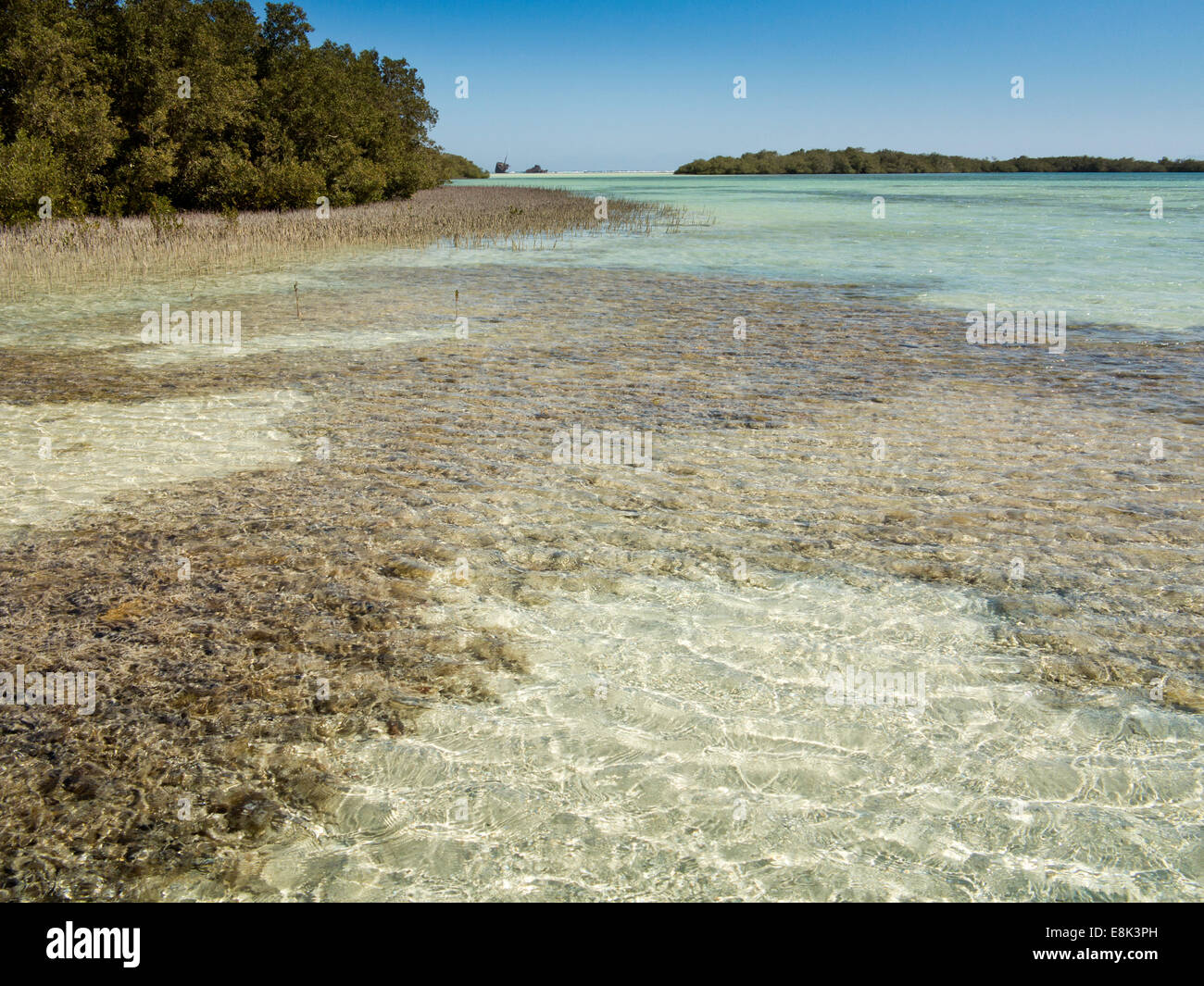 Egypt, Sinai, Sharm el Sheikh, Nabq National Park, Managed Resource ...