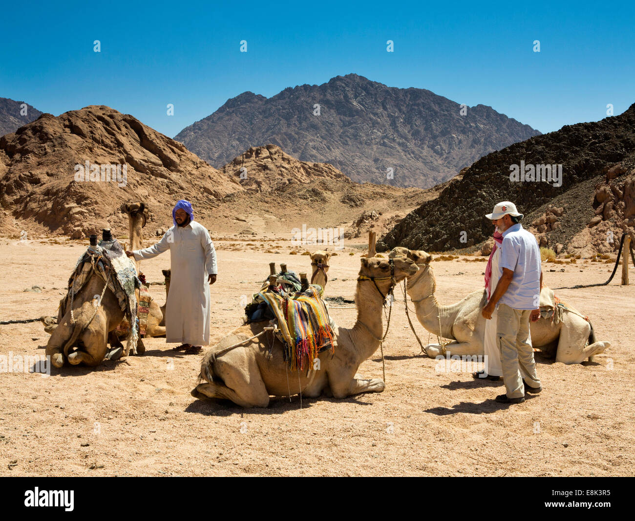 Egypt, Sinai, Sharm el Sheikh, Nabq National Park, Bedouin desert camp ...