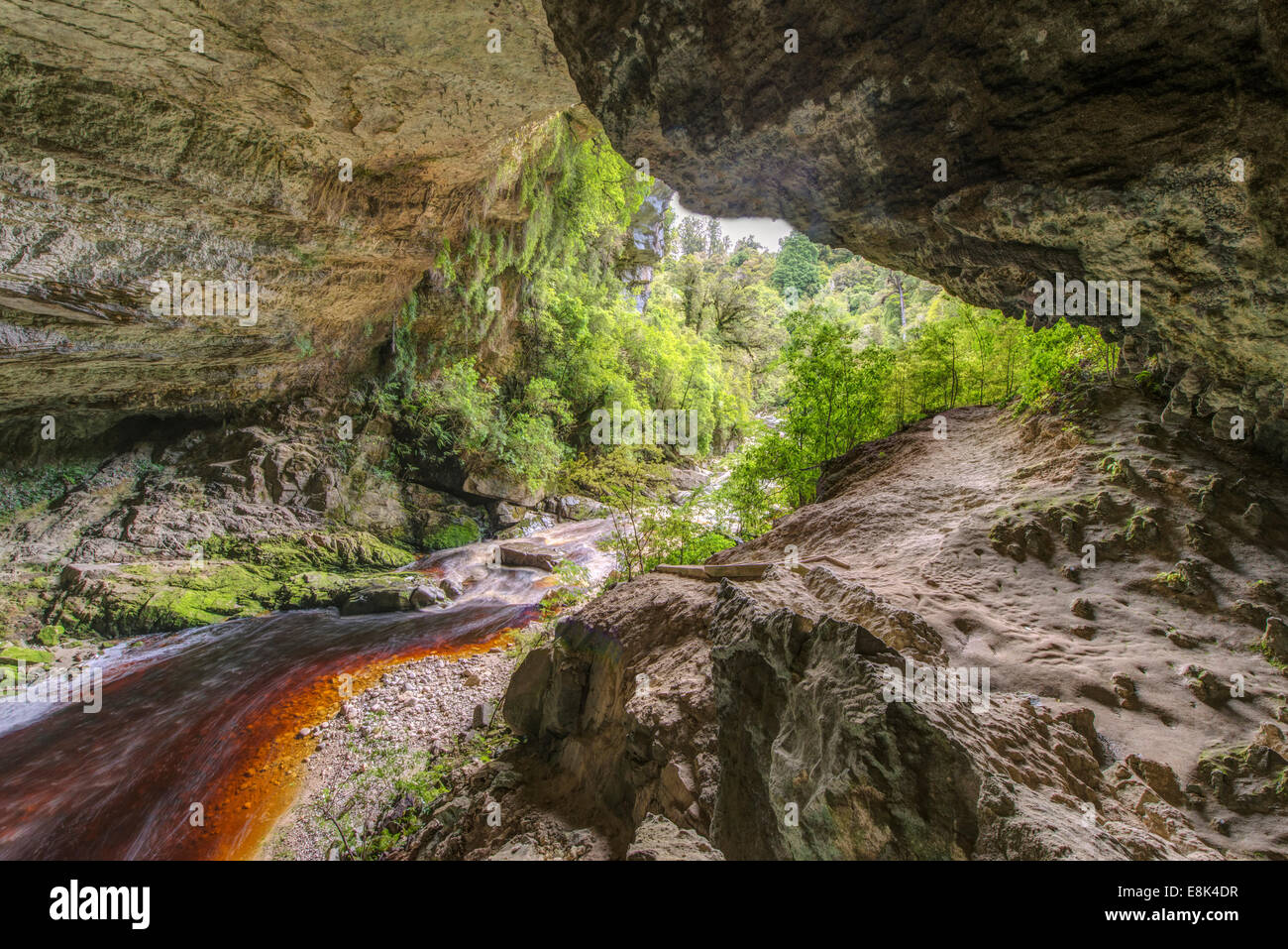New Zealand, South Island, Kahurangi National Park, Oparara Arch (Large ...