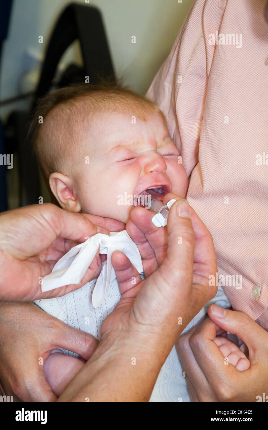 Oral Rota virus / Rotavirus immunisation / inoculation / from a syringe ...
