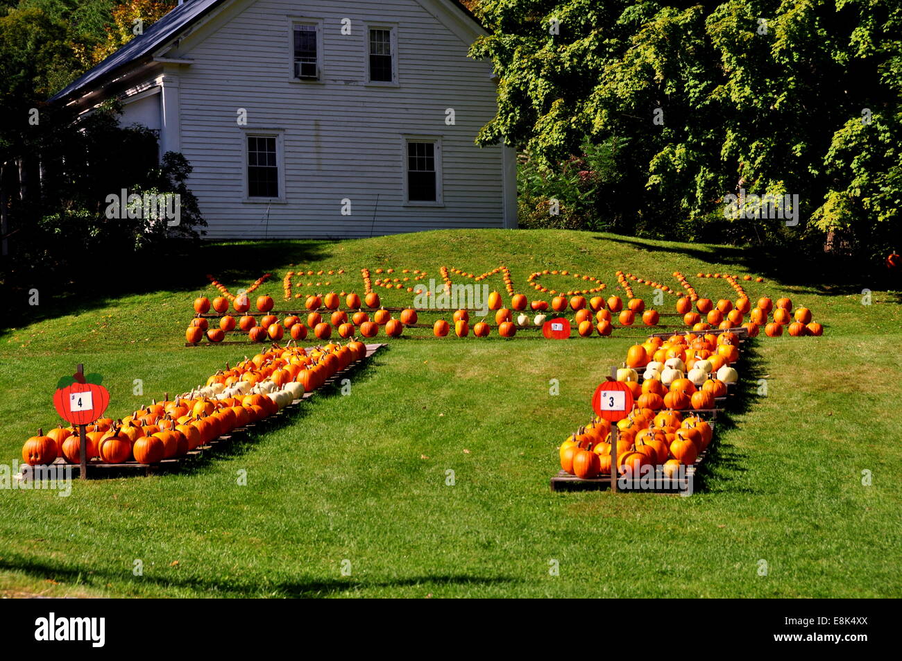 Pownal, Vermont: Displays of pumpkins cover the lawn at the Pownal ...
