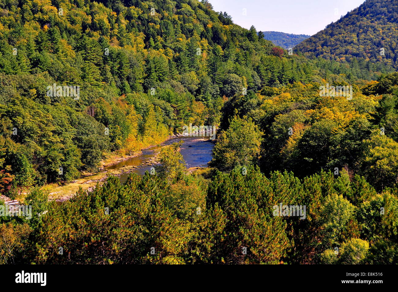 Vermont: Splashes of Autumnal yellow colour in the forests overlooking ...