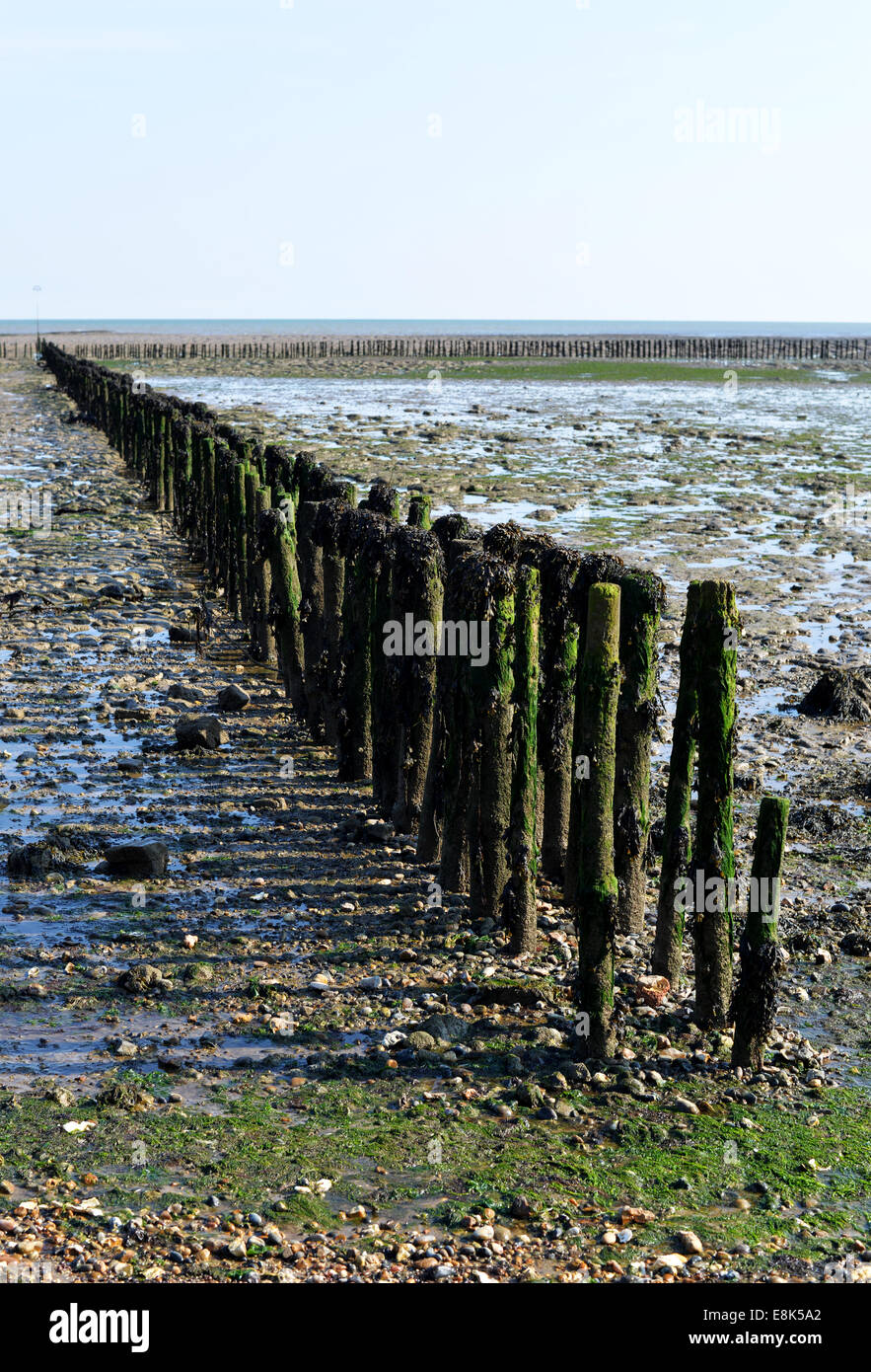 Groin and beach hi-res stock photography and images - Alamy