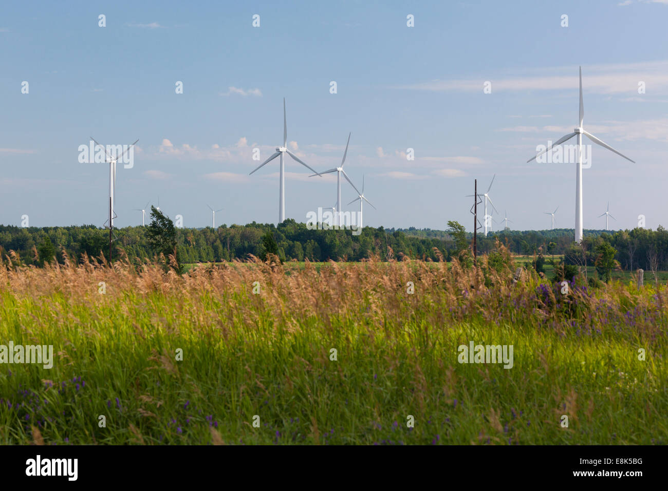 Wind turbines tower over the landscape on a sunny day in Dufferin ...
