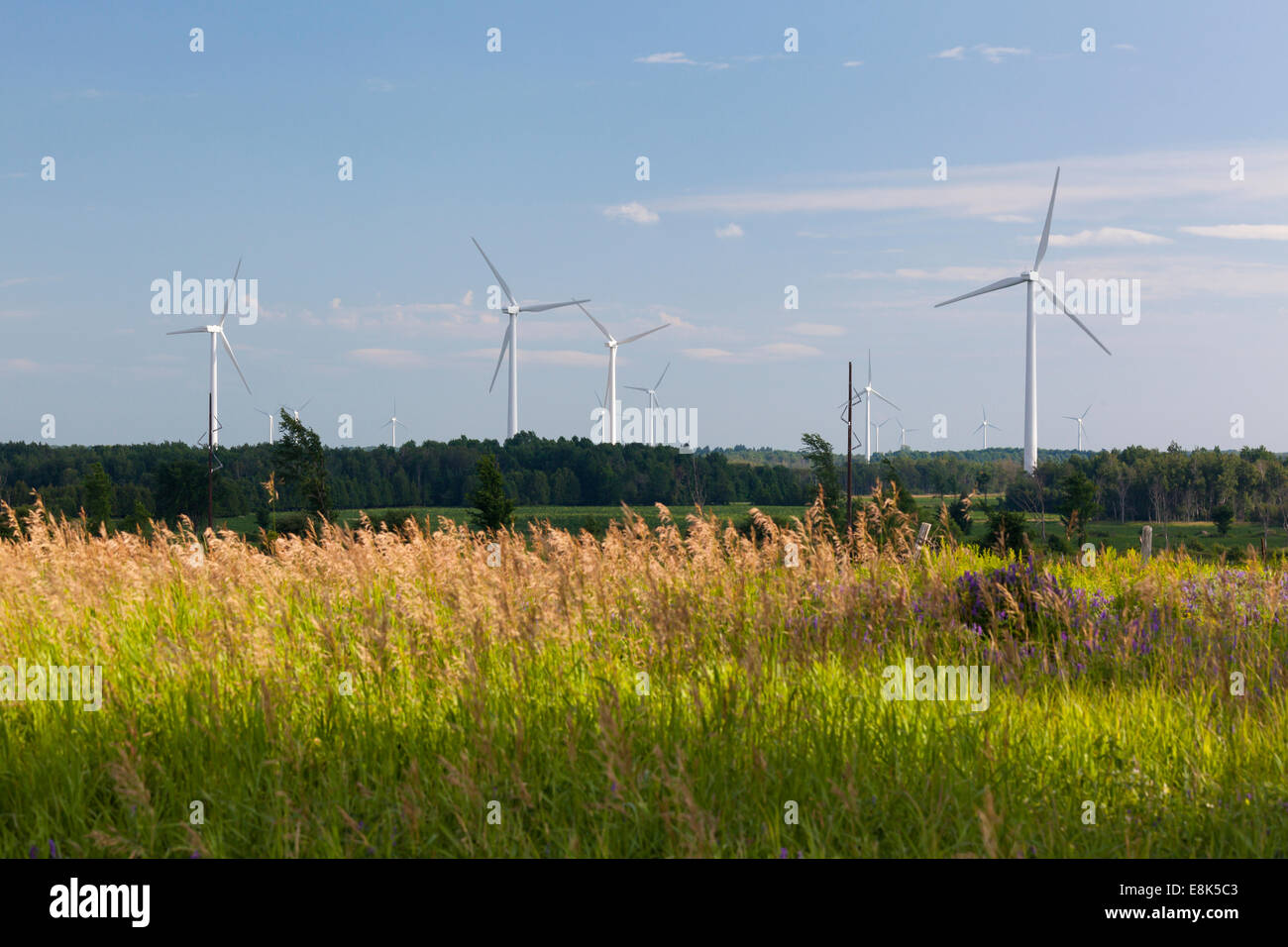 Dufferin county hi-res stock photography and images - Alamy