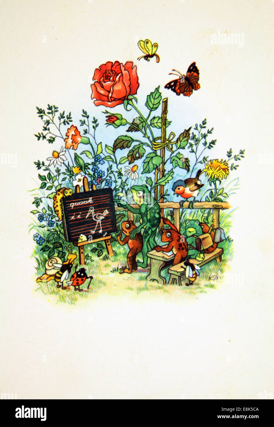 Frog jpg hi-res stock photography and images - Alamy