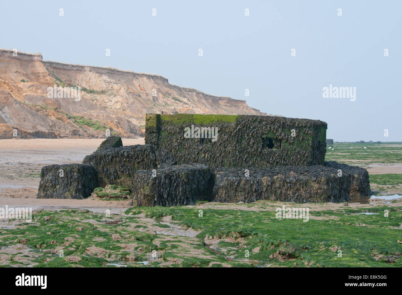 WW2 Pillbox at Walton on the Naze. Originally it was on the cliff top ...