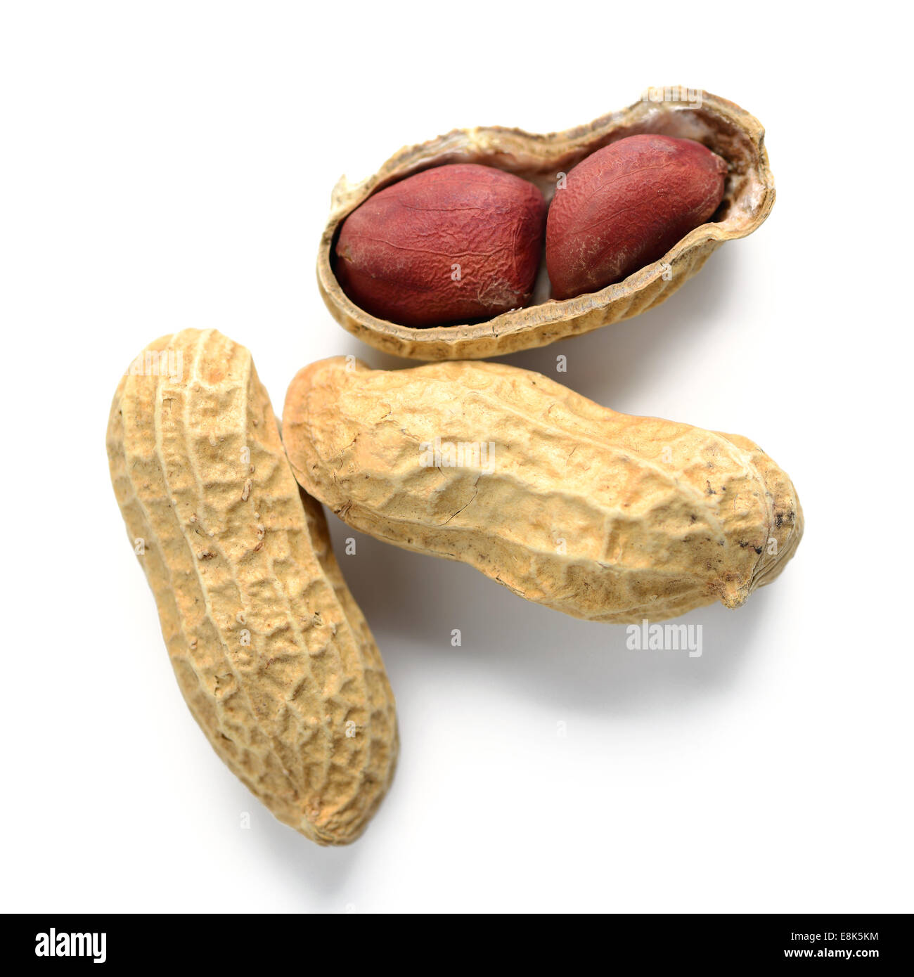 peanut on white background Stock Photo - Alamy