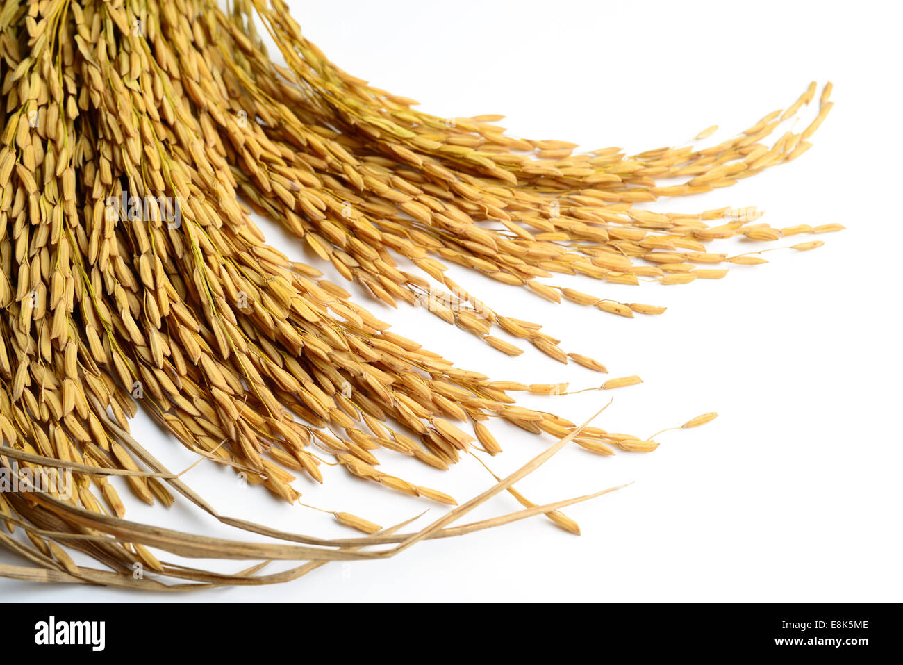Rice grain isolated on white Stock Photo - Alamy