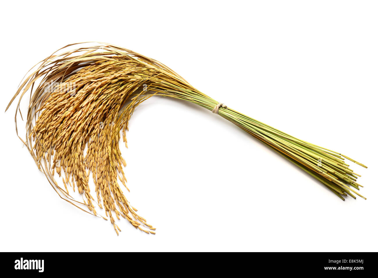 Rice grain isolated on white Stock Photo - Alamy