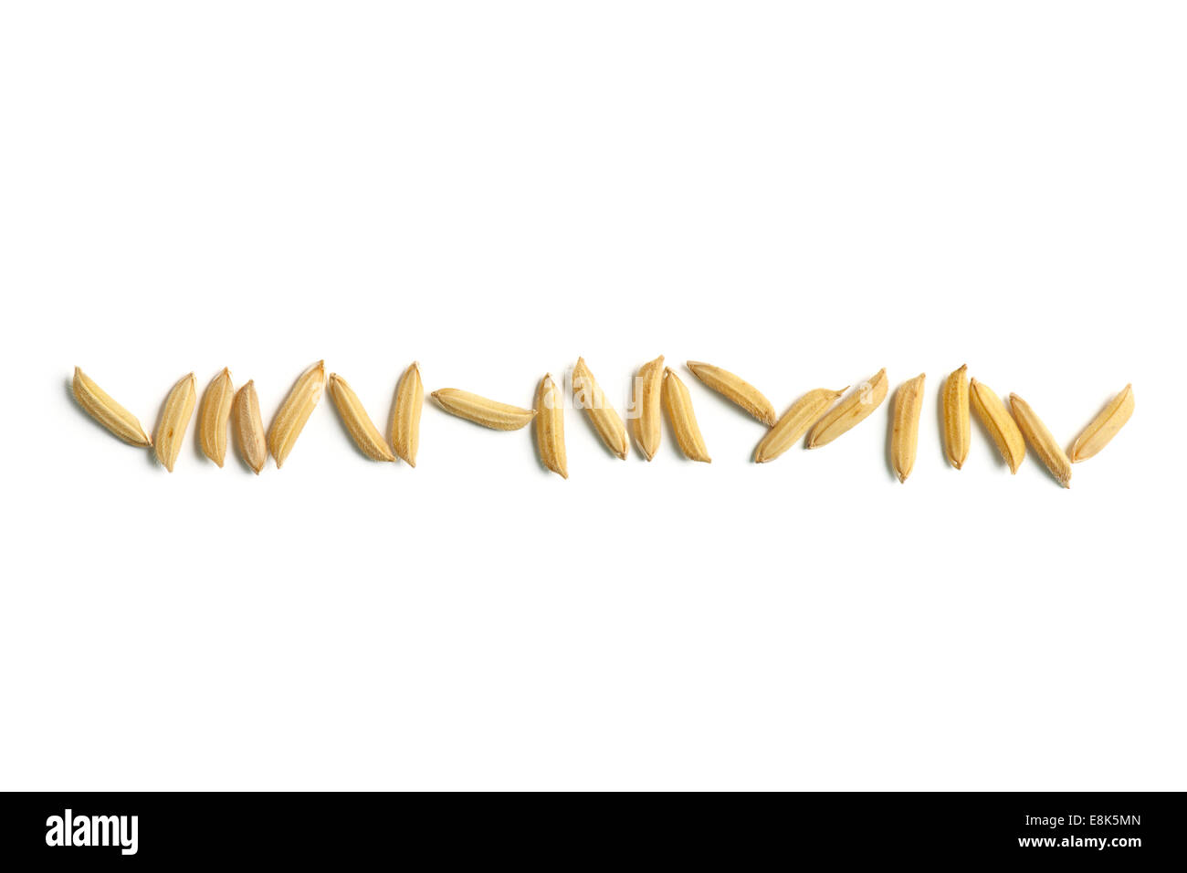 rice grains in row Stock Photo - Alamy