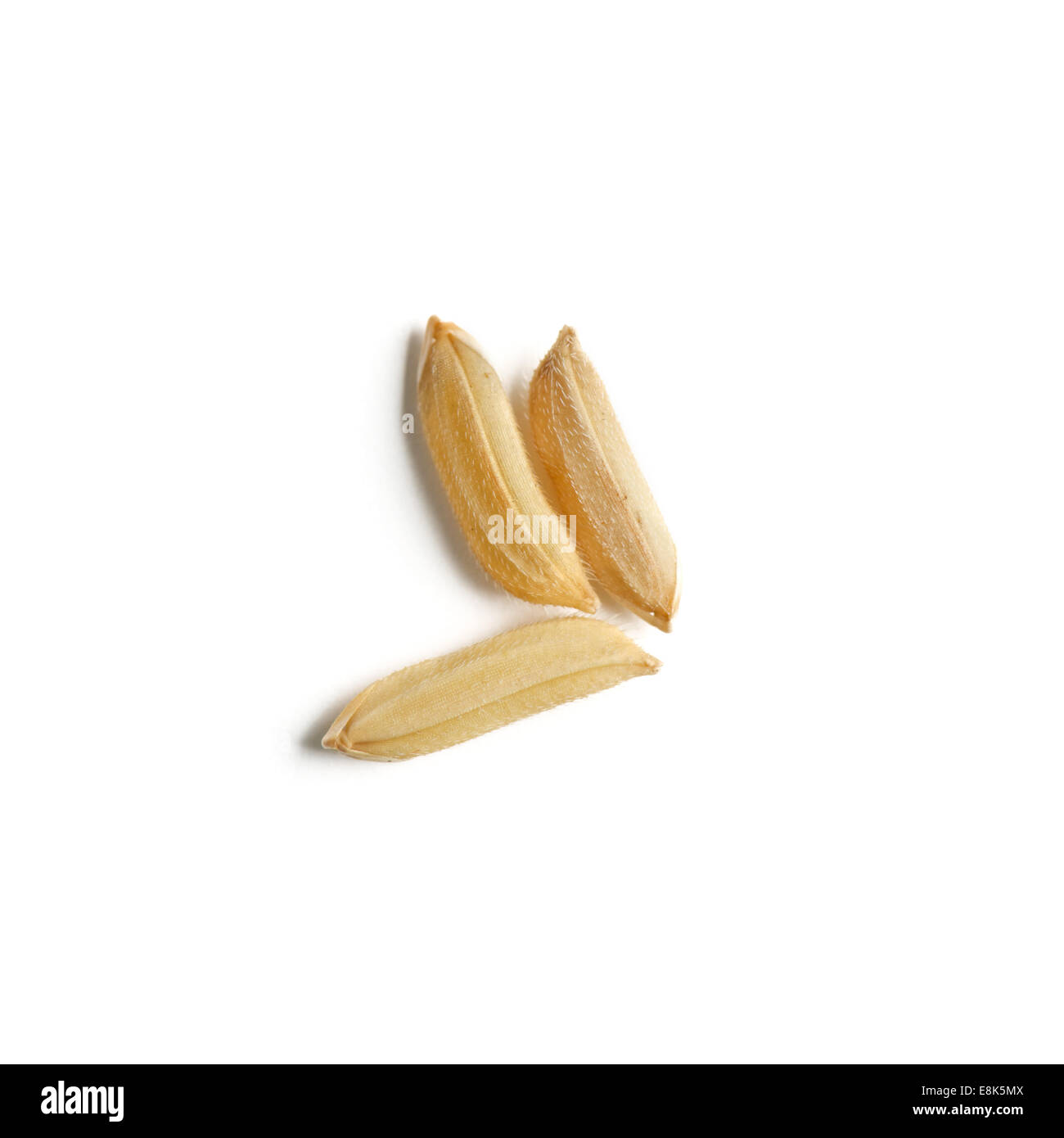 rice grains on white background Stock Photo - Alamy