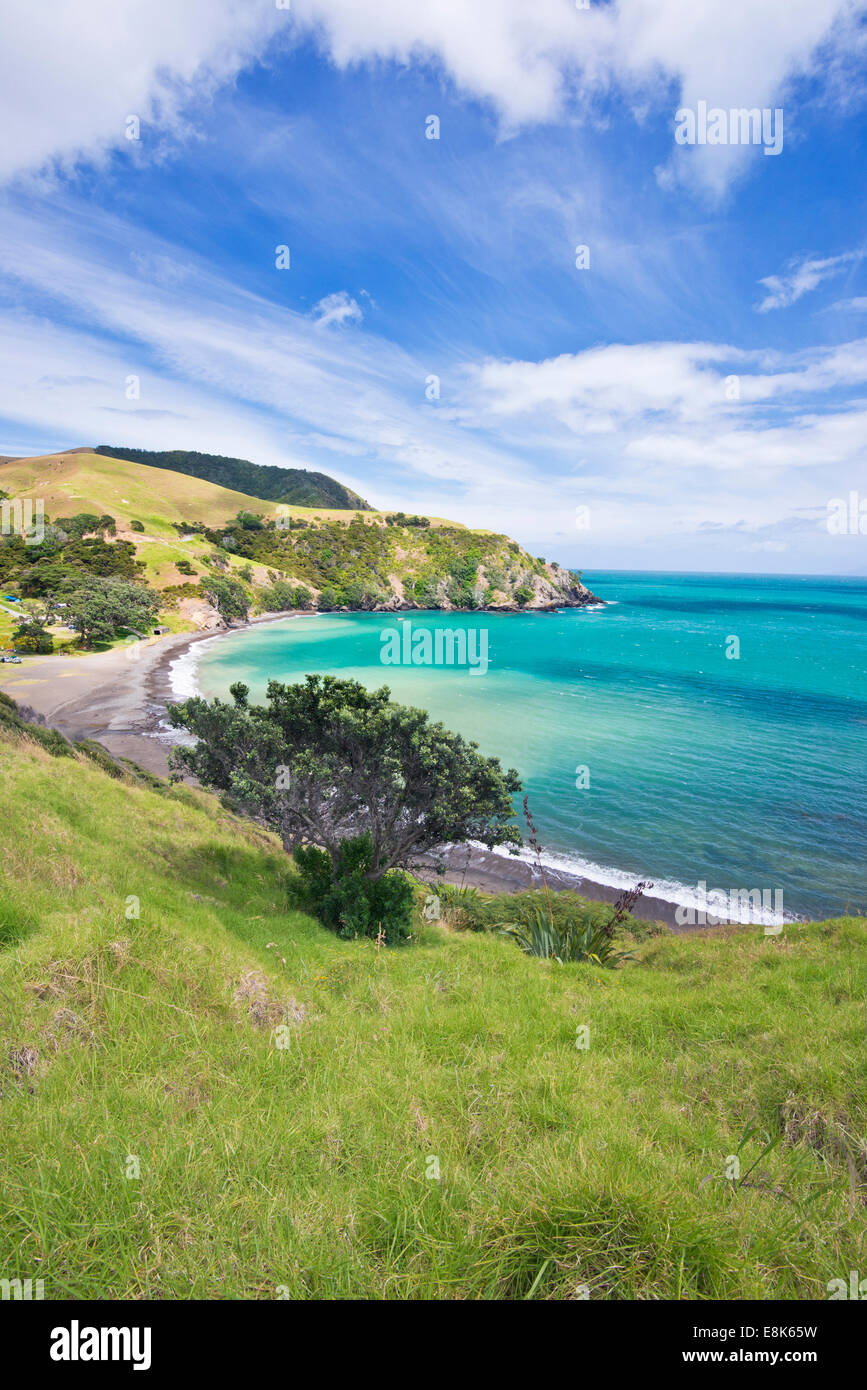 New Zealand, North Island, Coromandel Peninsula, Fletcher Bay (Large ...