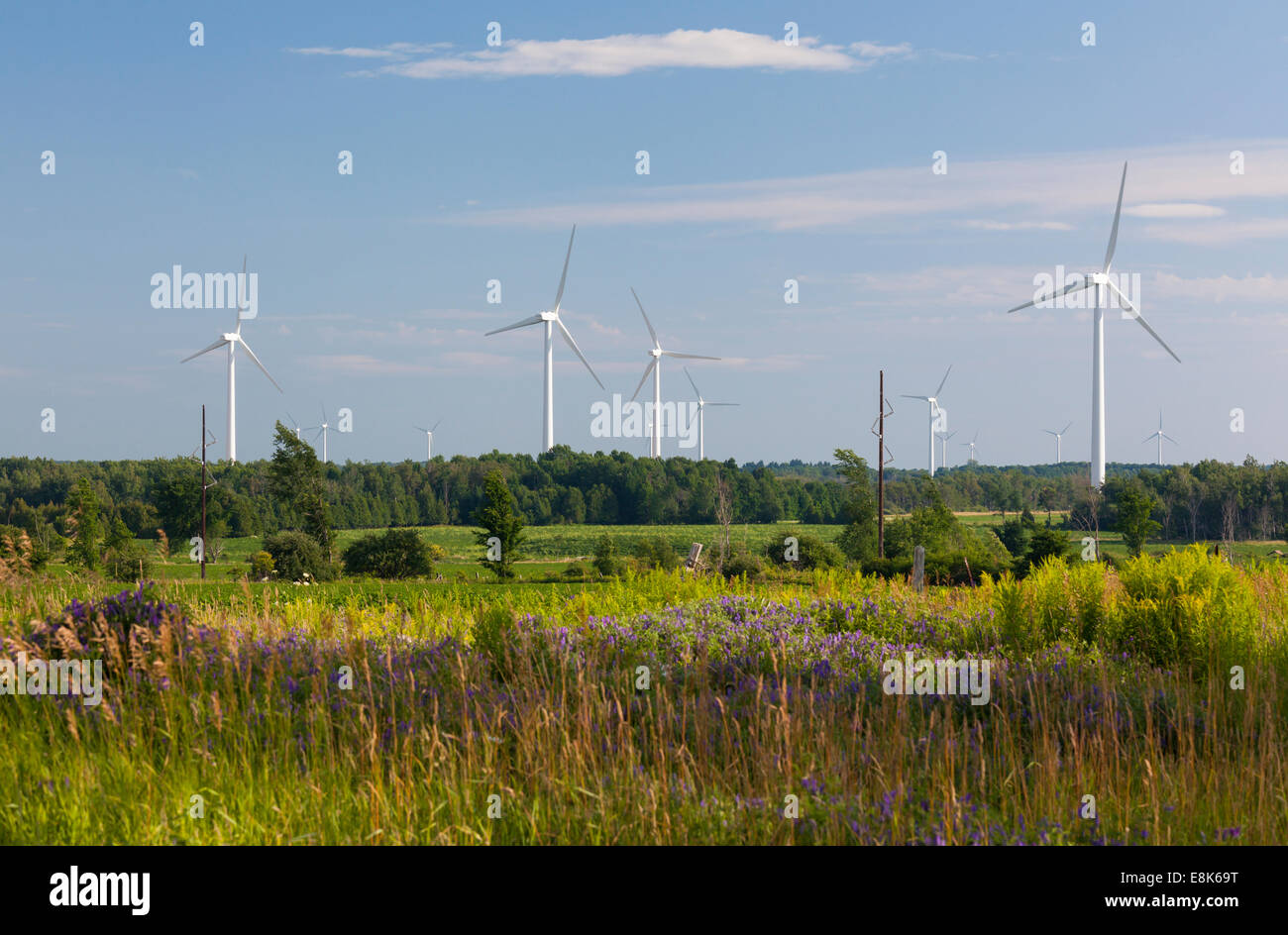 Wind turbines tower over the landscape on a sunny day in Dufferin ...