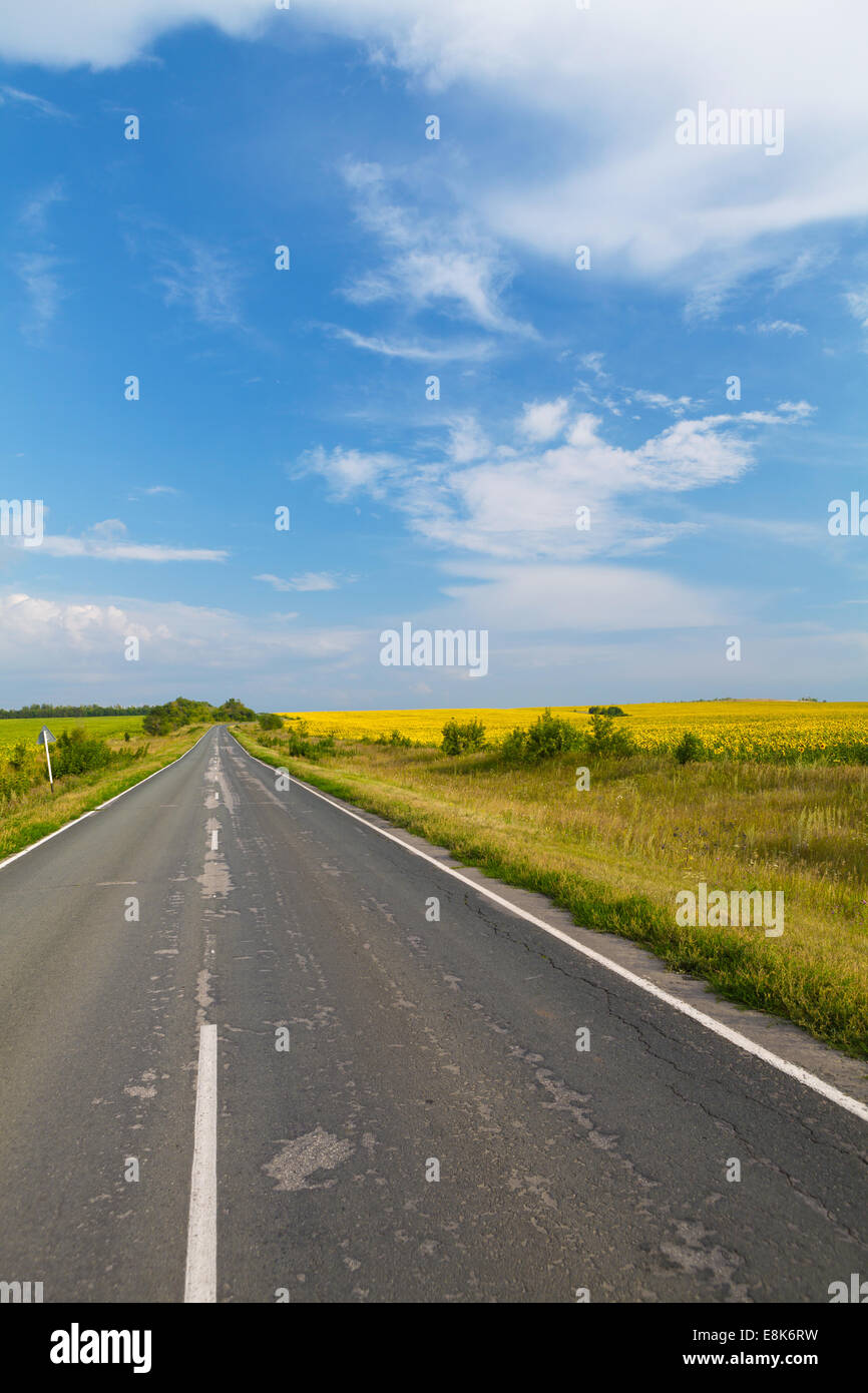 Road through the yellow sunflower field in sunny day Stock Photo - Alamy