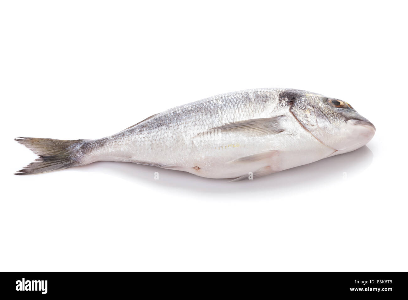 Fresh dorado fish. Isolated on white background Stock Photo - Alamy