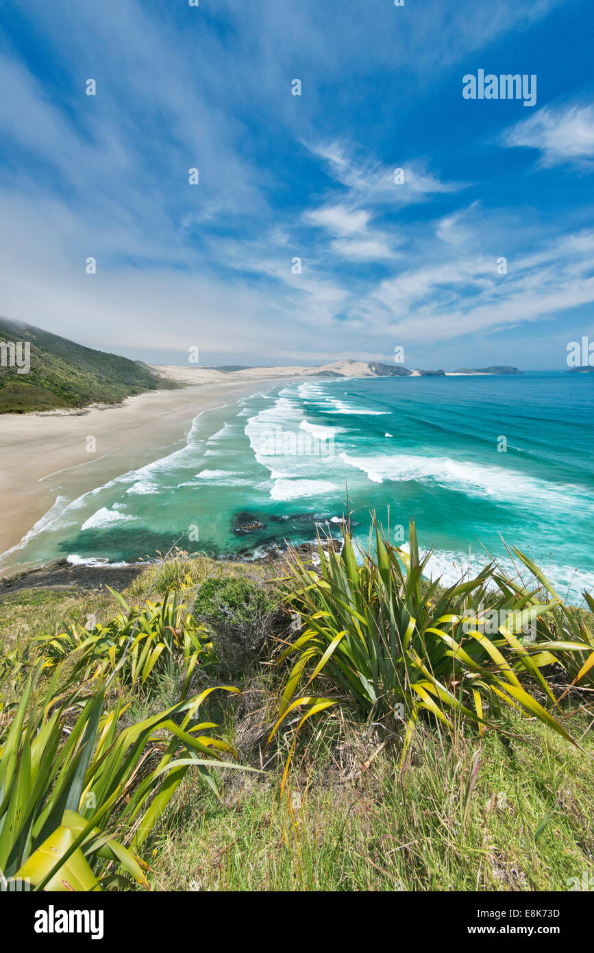 New Zealand, North Island, Cape Reinga, Te Werahi Beach (Large format ...