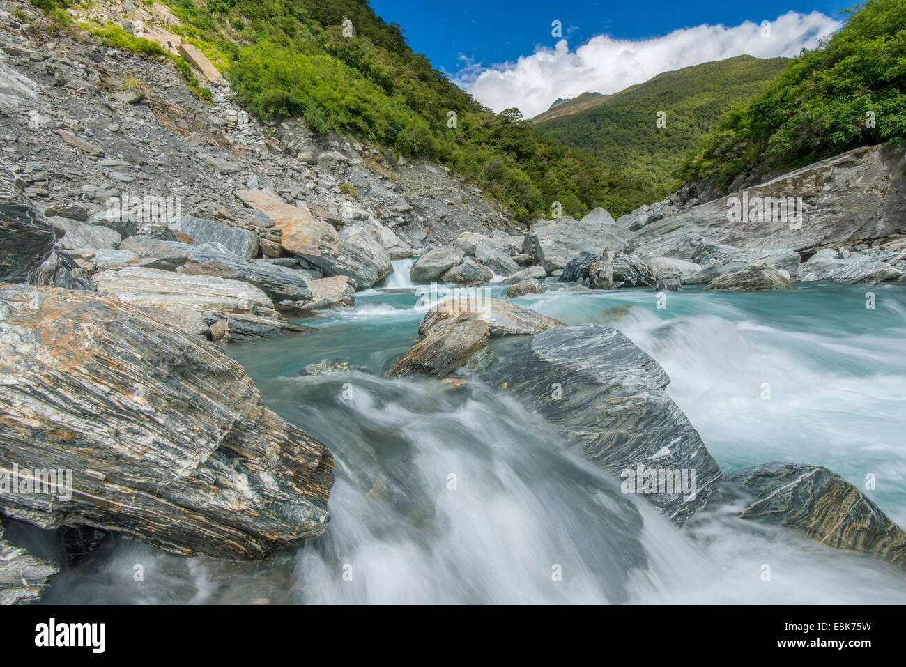 New Zealand, South Island, Mt. Aspiring National Park, Haast River ...
