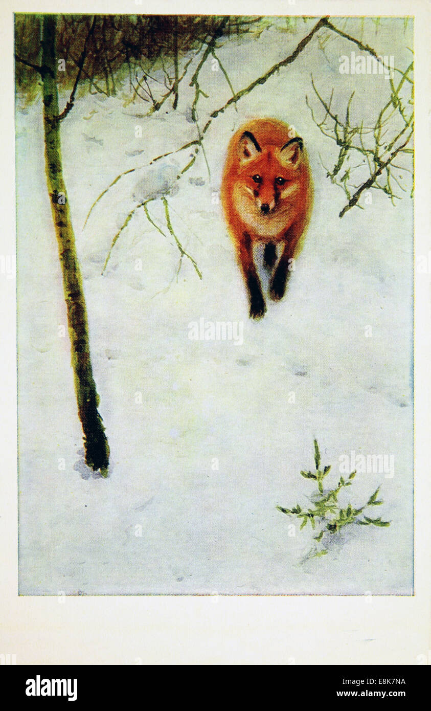 Reproduction of antique postcard shows fox, circa 1969, USSR. 2nd Dec ...