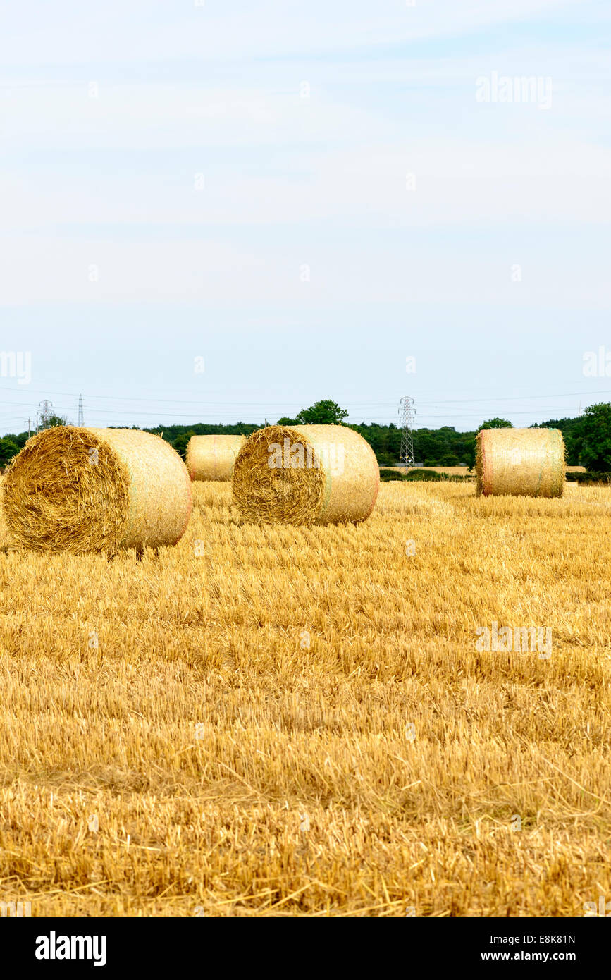 Hay bales images hi-res stock photography and images - Alamy