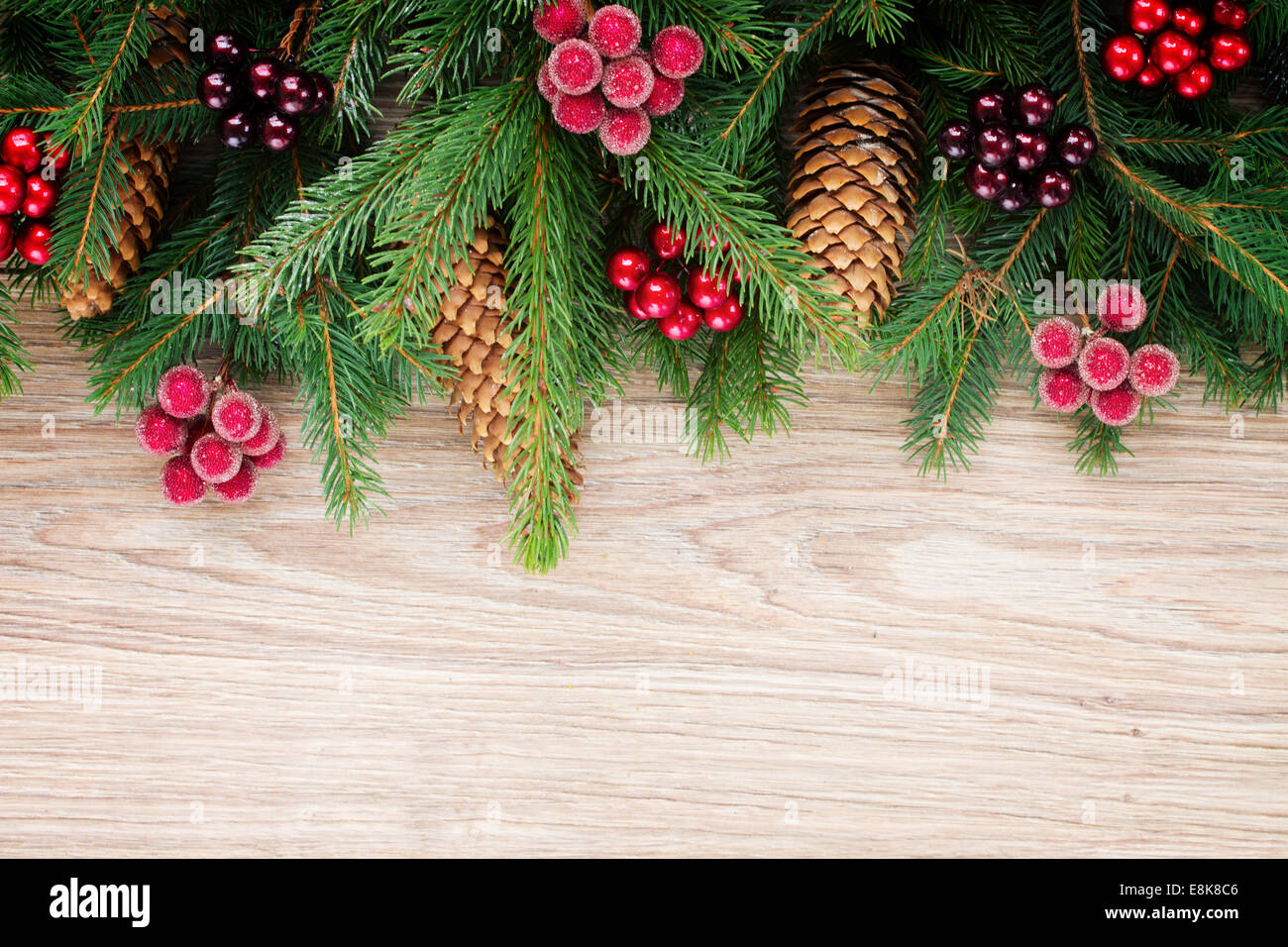 fir tree border Stock Photo - Alamy