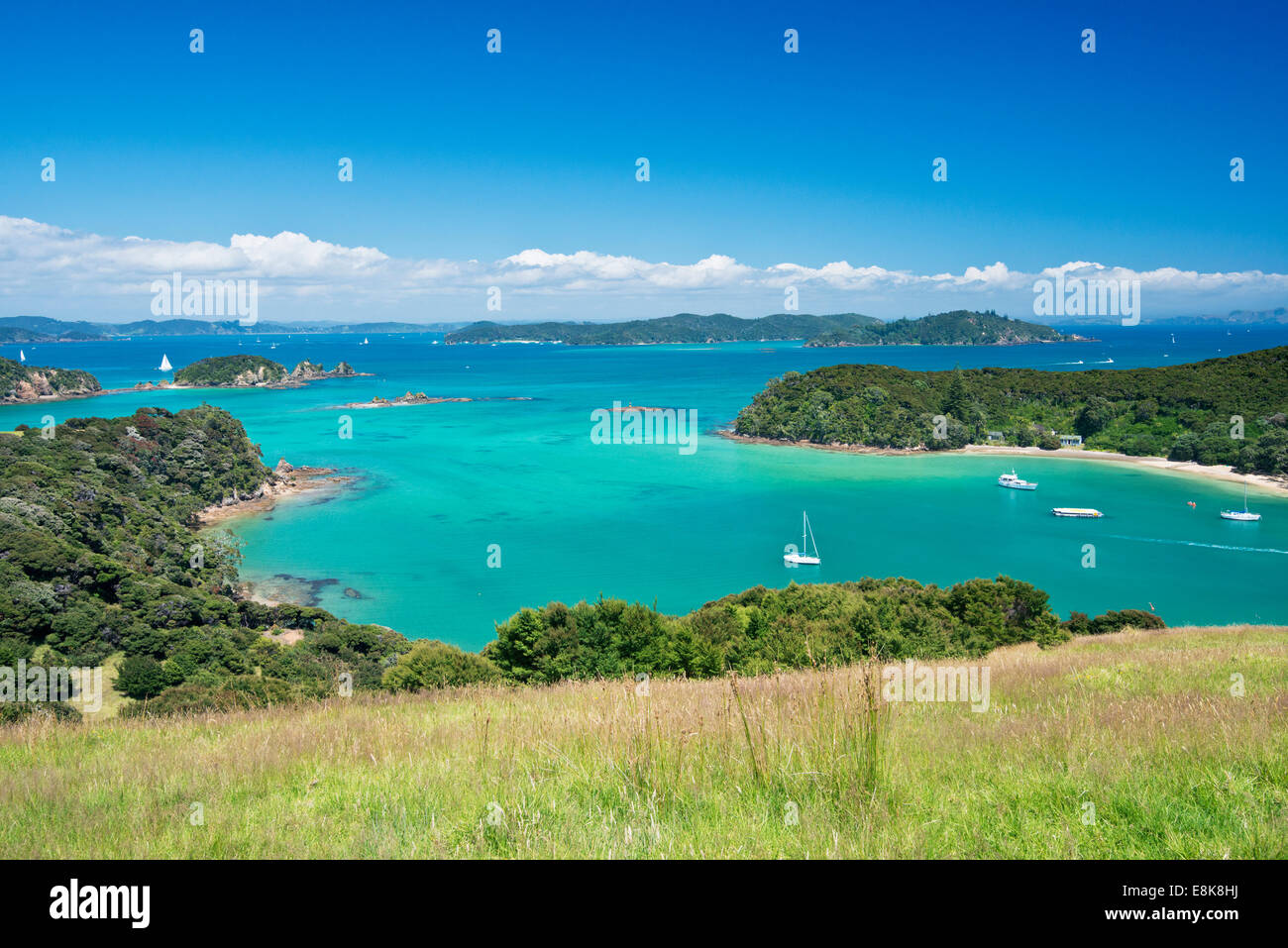 Urupukapuka island bay islands new hi-res stock photography and images ...
