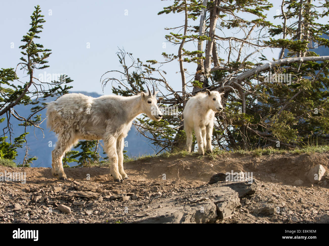 Goat Ledge High Resolution Stock Photography and Images - Alamy