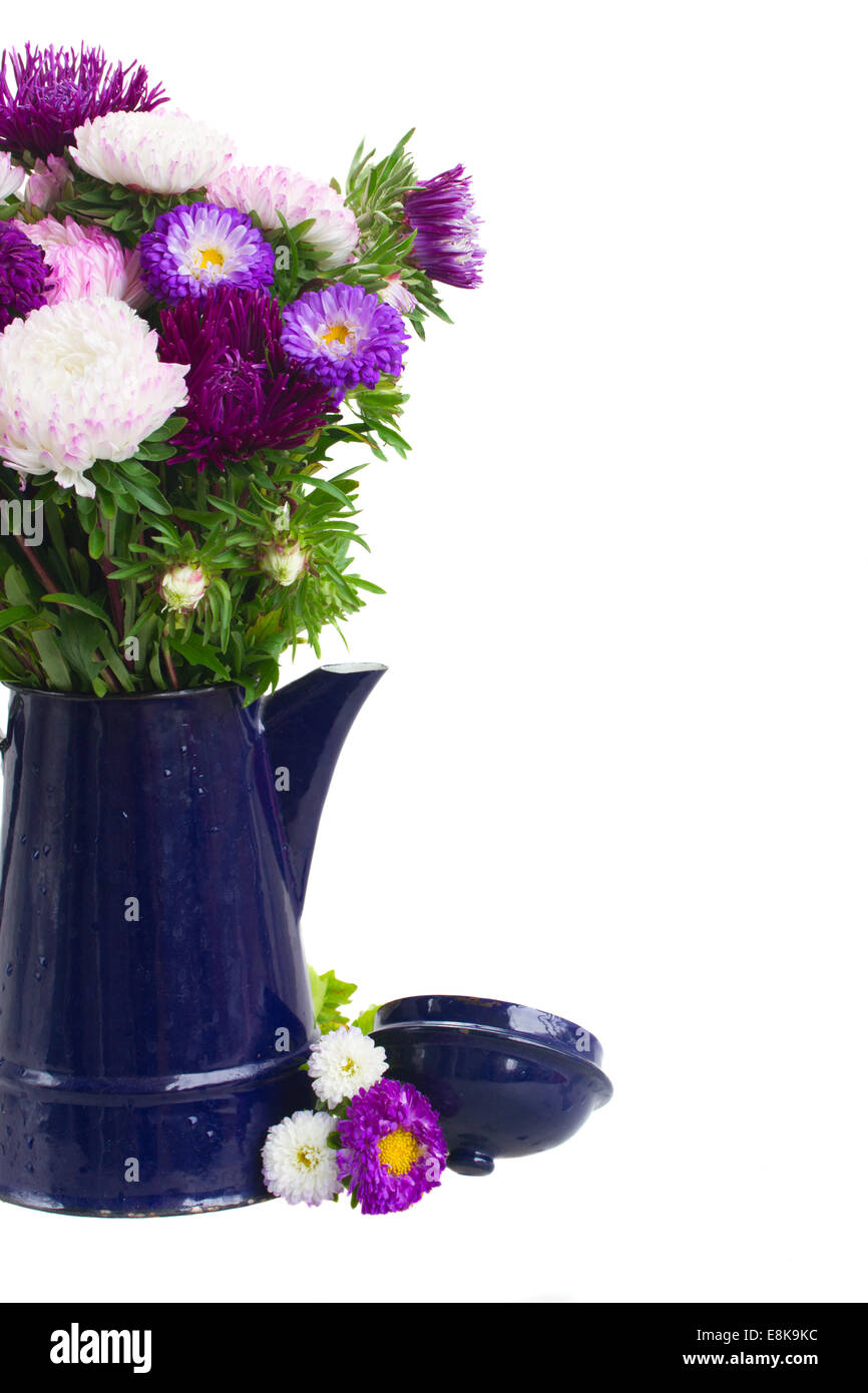 mix of aster flowers Stock Photo - Alamy