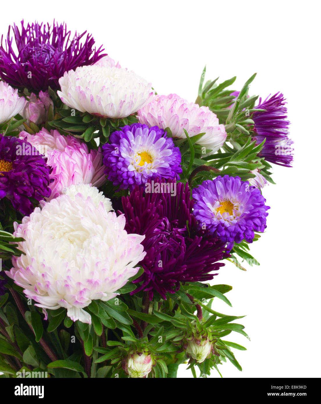 mix of aster flowers Stock Photo - Alamy