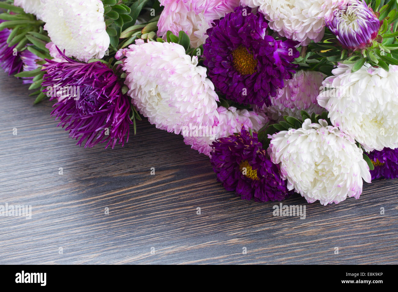 mix of aster flowers Stock Photo - Alamy