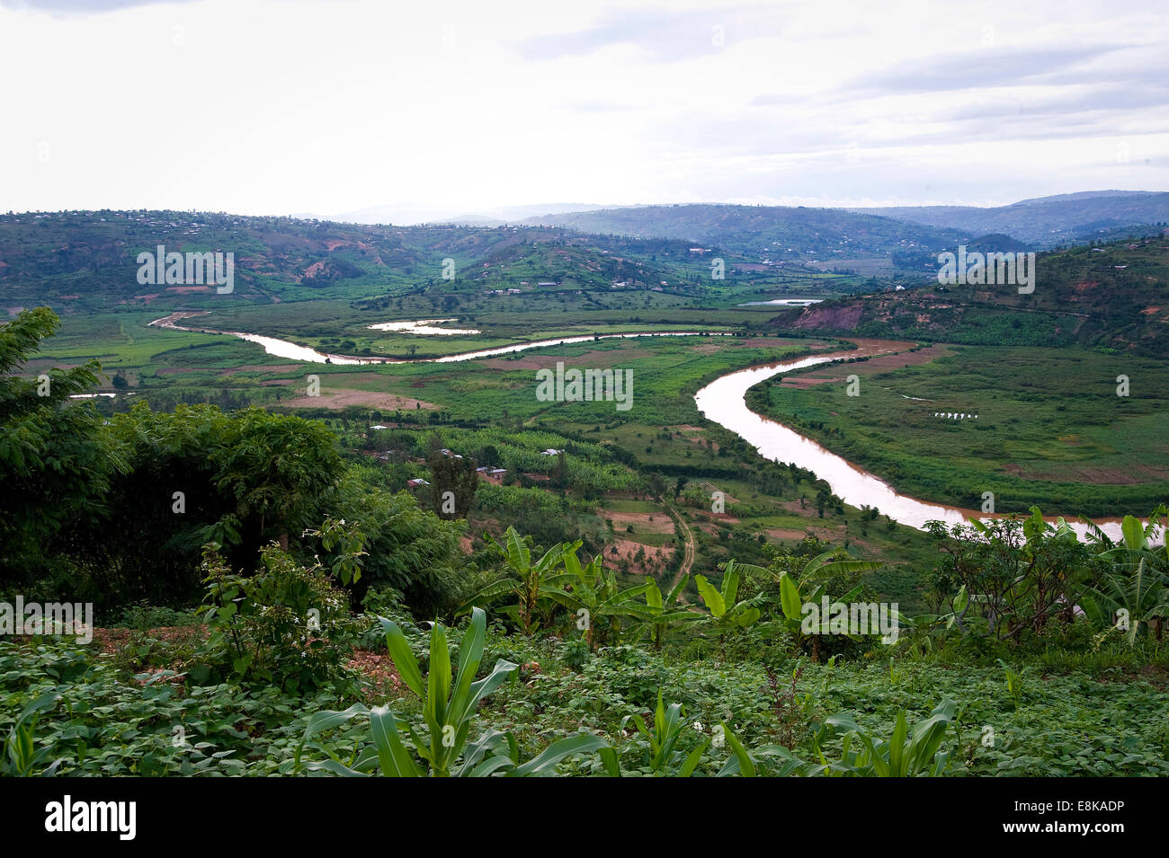 Terrace farming rwanda hi-res stock photography and images - Alamy
