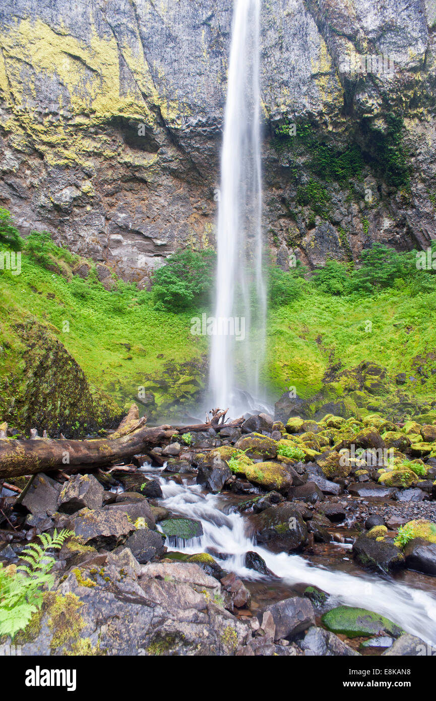 USA, Oregon, Columbia River Gorge, Elowah Falls and McCord Creek Stock ...