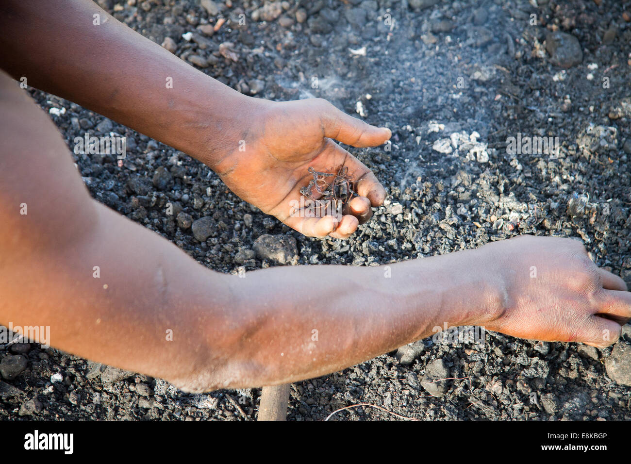 Man collecting scrap pieces of copper after burning off electrical ...